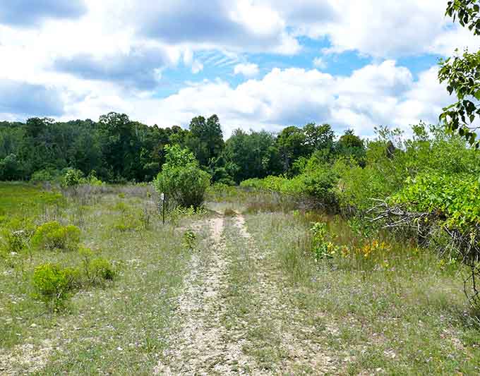 This trail doesn't need fancy signs or paved walkways – it's been inviting explorers to wander and wonder for generations.