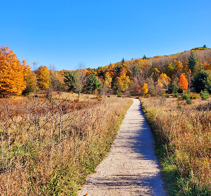 The trail becomes a ribbon of light cutting through autumn's fiery display of seasonal transformation.