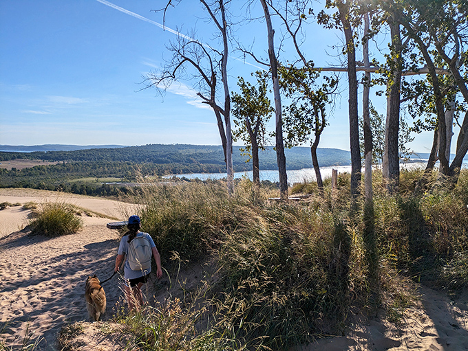 A hiker and furry companion forge their path through the sandy terrain, scale providing perspective on the dune's impressive size.