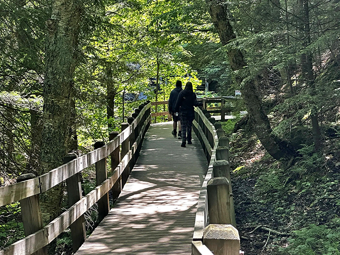 Visitors gather at nature's theater, their expressions showing that moment when everyday worries dissolve into pure waterfall-induced wonder.