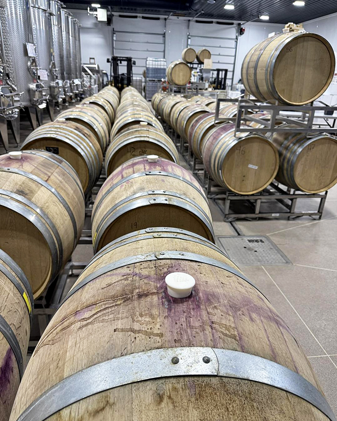 Oak barrels lined up like soldiers at attention, each one slowly transforming grape juice into something worthy of your celebration.