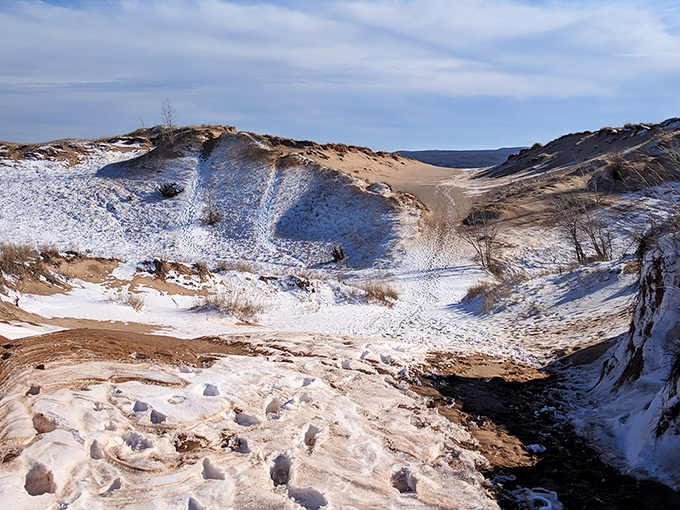 Winter transforms the dunes into a surreal landscape where sand and snow create patterns that would make abstract artists jealous.