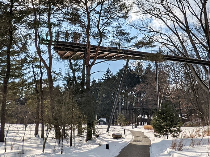 Winter transforms the walkway into a serene pathway through a frozen wonderland of snow-dusted branches.