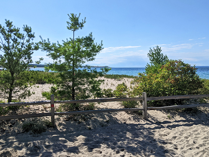 Dune grasses and wooden fences create natural boundaries, protecting the delicate ecosystem that makes this beach so special.