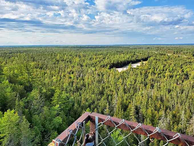 The forest stretches endlessly below, a green carpet that makes you understand why they call this Pure Michigan.