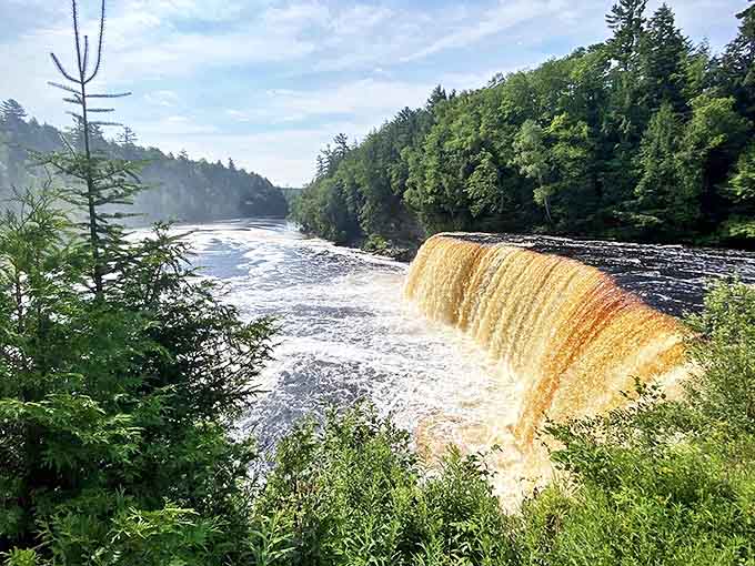Upper Tahquamenon Falls cascades dramatically over a 50-foot drop, its amber waters creating a root beer-colored spectacle. The surrounding forest frames nature's power perfectly.