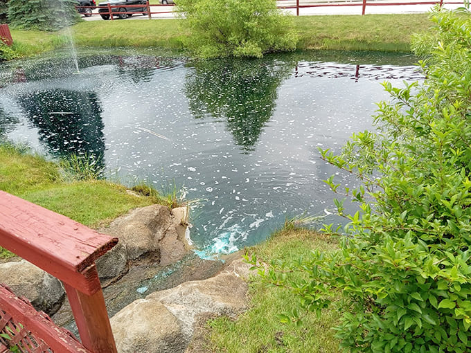 Peaceful ponds dot the property, providing homes for local ducks who've figured out this is prime real estate.