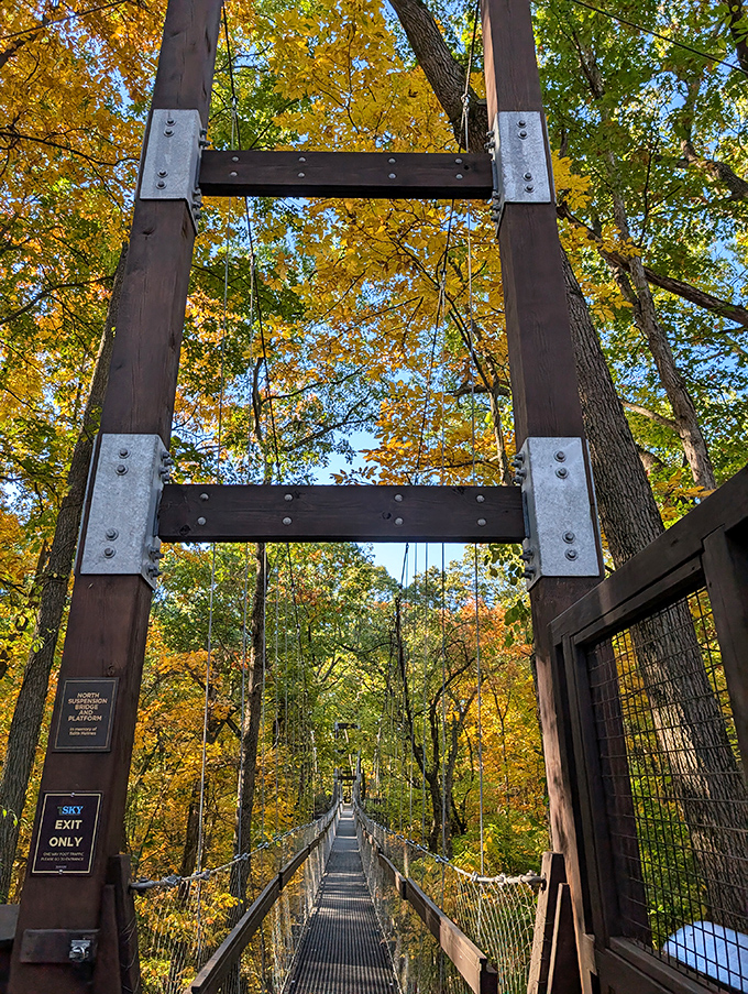Fall foliage frames the canopy walk structures like nature's own Instagram filter, no Valencia required.