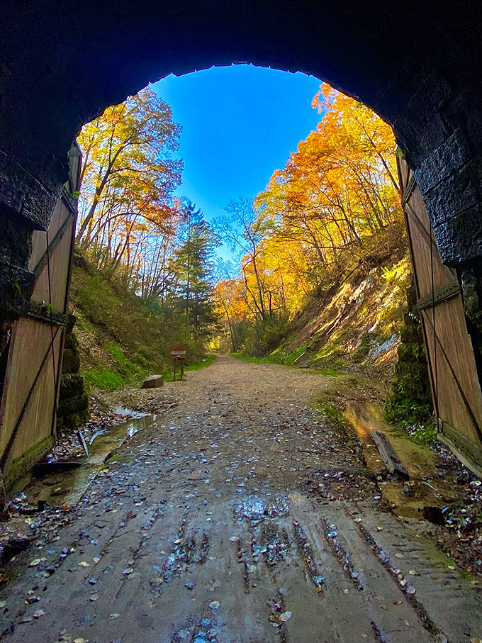 Fall transforms the tunnel exits into framed masterpieces of autumn color, where golden leaves contrast against the dark stone passage.