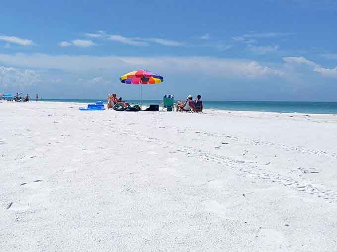 Beach Lounging Under Umbrella: The ultimate Florida office setup &ndash; where "working remotely" takes on a whole new, colorful meaning.