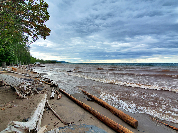 Lake Superior's shoreline stretches into misty infinity, where driftwood sculptures tell tales of storms and journeys past.