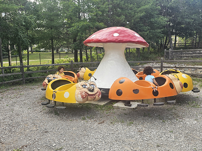 The ladybug ride spins at a pace that allows parents to actually capture photos without professional sports photography equipment. Childhood joy in beetle form!