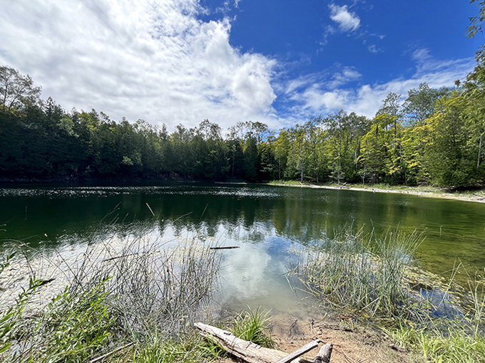 This serene forest lake reflects the surrounding wilderness perfectly &ndash; nature's mirror showing off its own beauty.