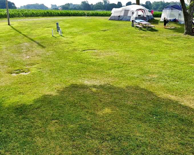 Spacious camping areas offer room to breathe, with grassy sites that welcome everything from pup tents to palatial RVs.