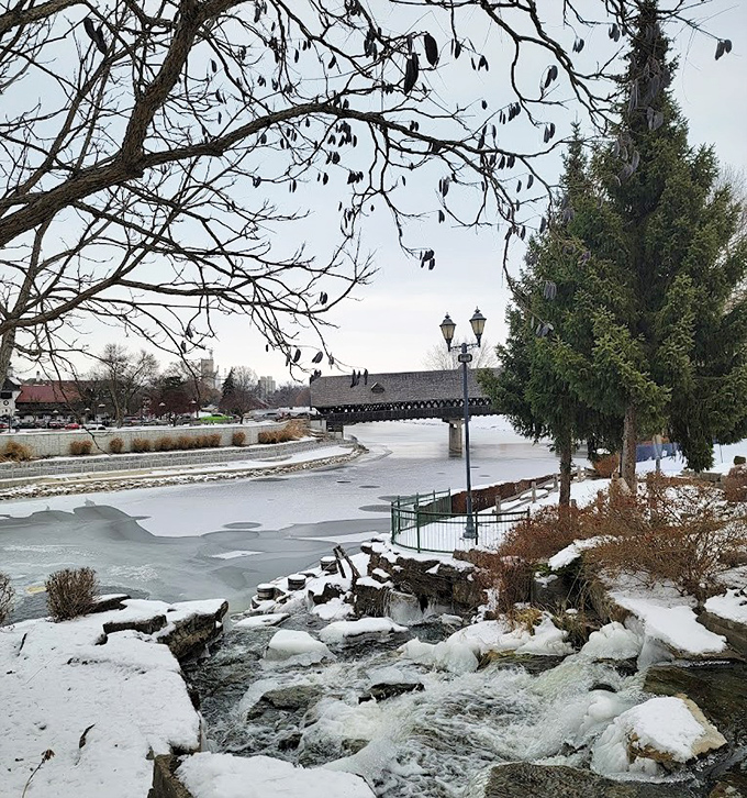 Winter transforms the Cass River into a crystalline landscape where even the rushing water surrenders to Michigan's frosty embrace.