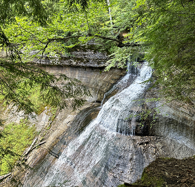 Chapel Falls cascades gracefully through the forest, creating a soundtrack that makes hikers pause and smartphones disappear.