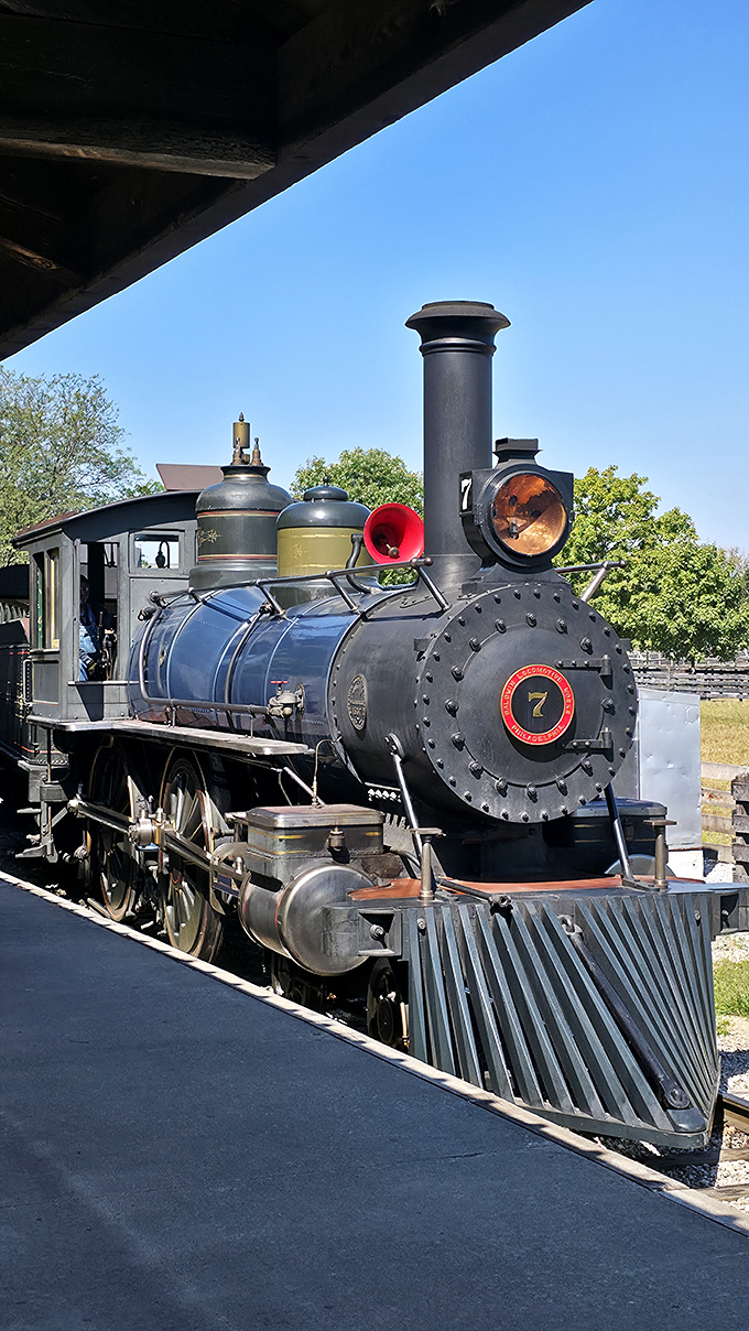 Up close with these magnificent machines, you can almost hear the hiss of steam and feel the heat radiating from the boiler.