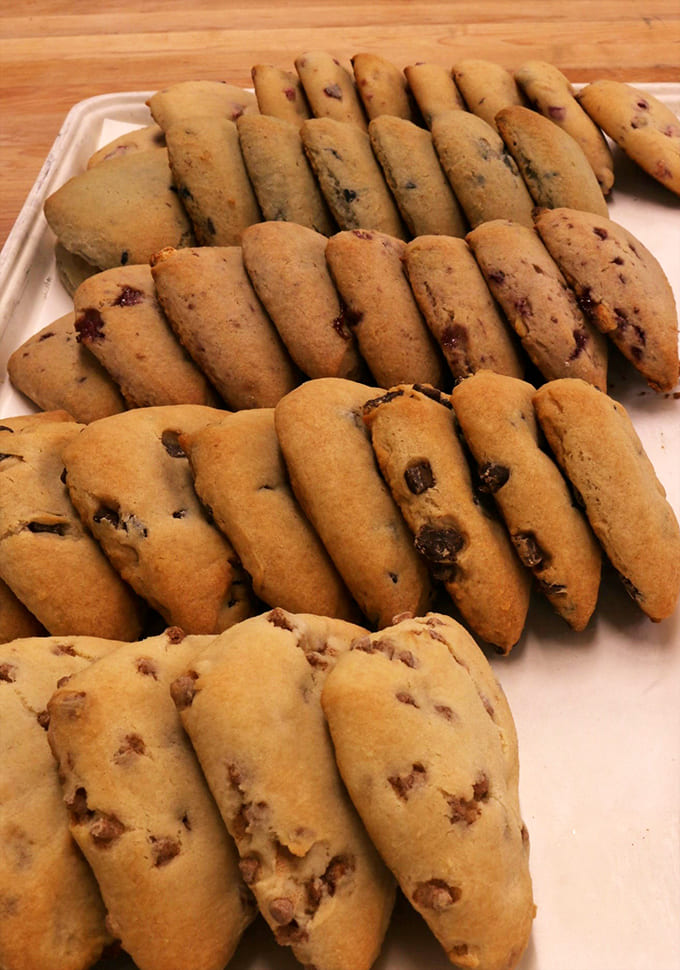 Cookie perfection! These chocolate-studded beauties achieve the impossible balance of crisp edges and chewy centers that haunt your dreams.