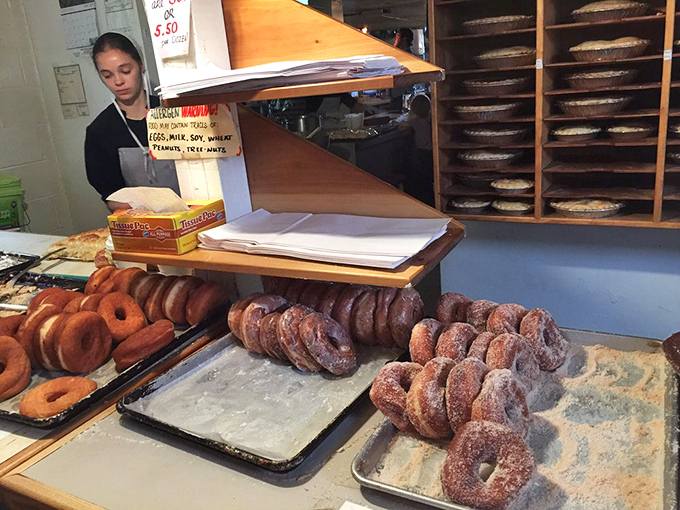 A symphony of donuts in various stages of preparation &ndash; from freshly glazed to chocolate-dipped to cinnamon-sugar dusted perfection.