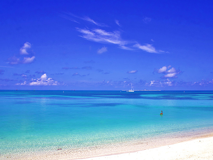 The water clarity at Dry Tortugas makes standard Caribbean beaches look like they need to try harder. Snorkeling here ruins you for life.