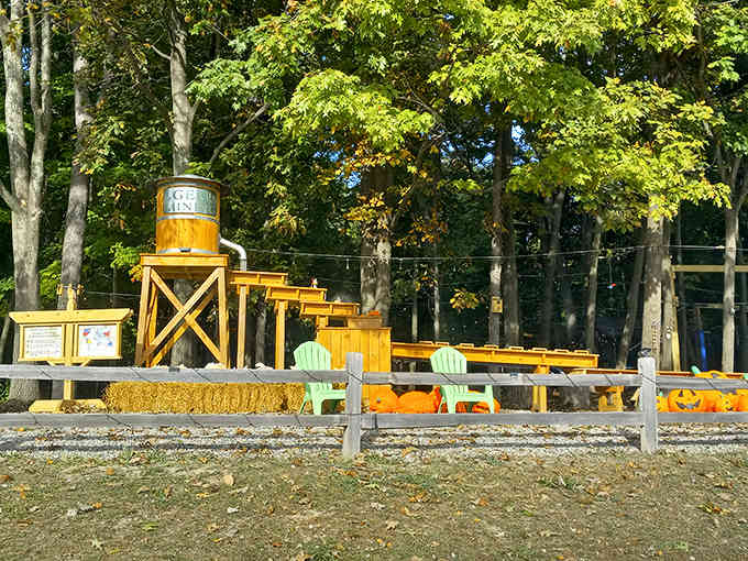 Autumn brings seasonal charm to TreeRunner's grounds, with pumpkins and harvest decorations enhancing the woodland experience.
