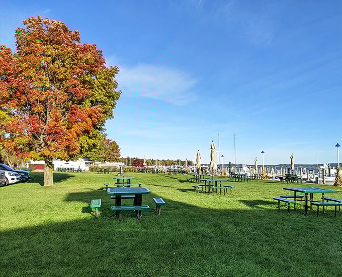 Picnic tables with million-dollar views &ndash; the kind of waterfront dining experience where the only reservation needed is the one you make with yourself.
