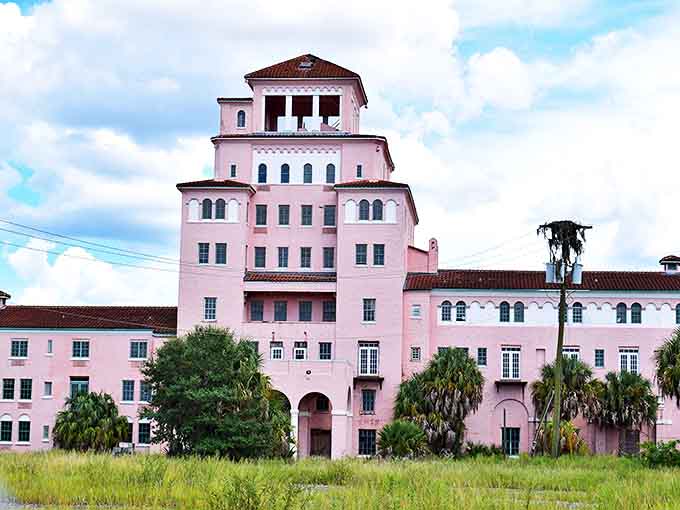 The iconic pink Harder Hall stands as a faded reminder of Florida's boom years, its distinctive silhouette dominating the landscape.