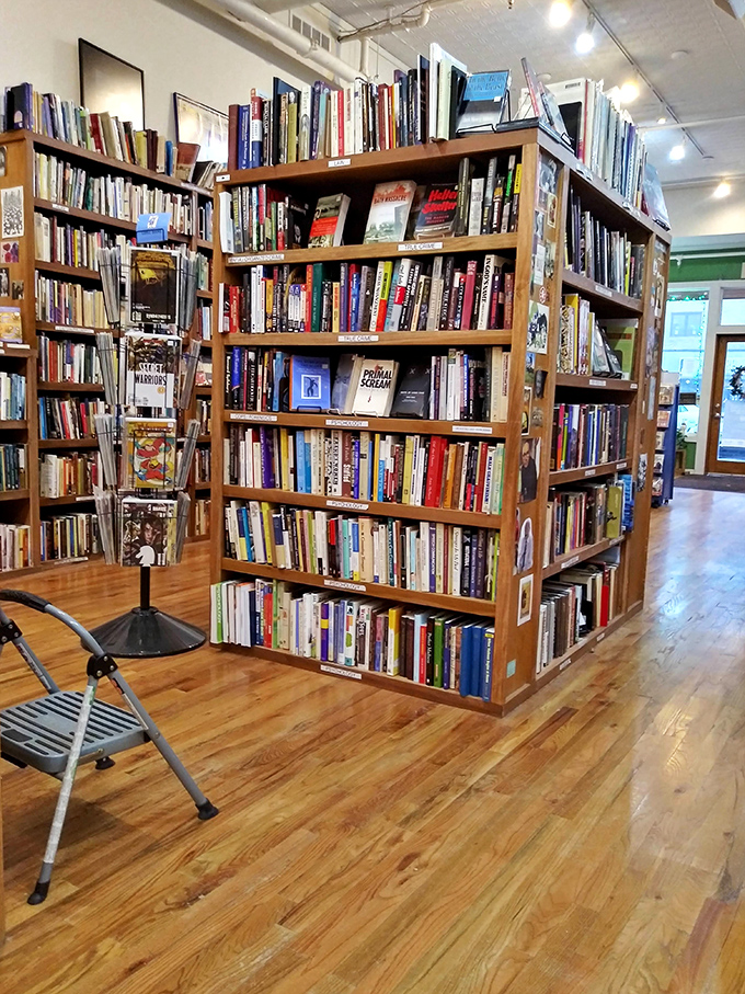 Sunlight streams through front windows, illuminating dust motes dancing above wooden floors that have supported thousands of browsing feet.