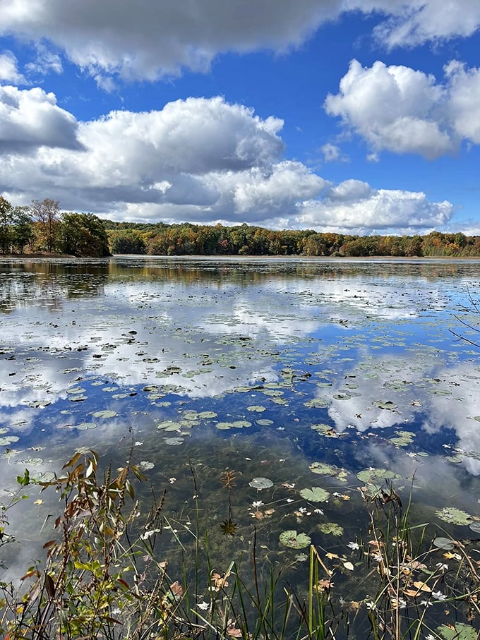 Mirror, mirror on the pond. Haven Hill's waters capture Michigan skies so perfectly, you'll wonder which way is up.