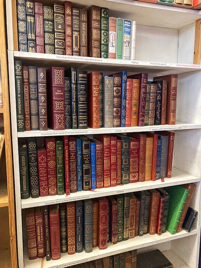 Leather-bound luxury for your shelves. These gilded editions aren't just books—they're furniture for your mind and decoration for your soul.