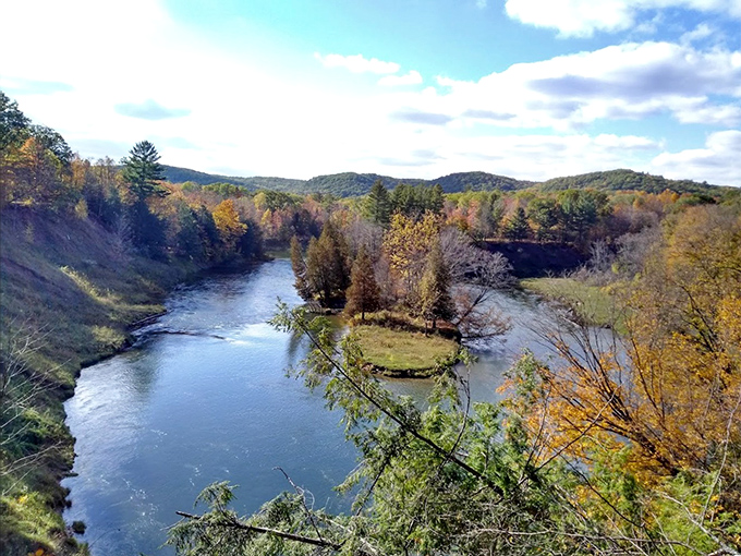 The Manistee River carves its ancient path through the forest, creating a view that makes smartphone cameras seem woefully inadequate.