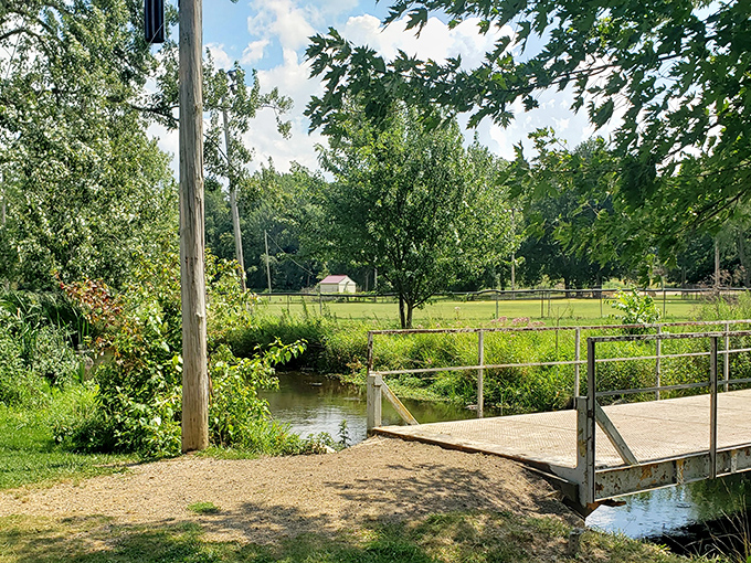 McCoy Creek Recreation Area provides a peaceful retreat where ducks paddle contentedly and humans reconnect with nature's rhythms.