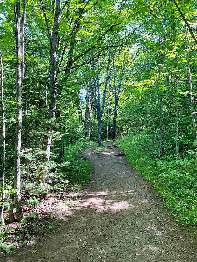 This humble dirt path has witnessed thousands of pilgrims seeking answers to a luminous puzzle that's baffled experts for generations.