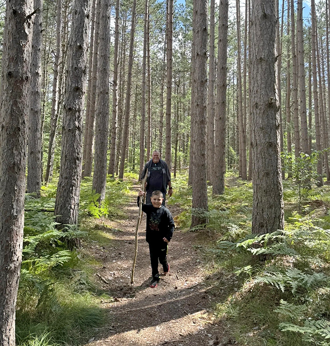 Walking this pine-flanked path feels like stepping into a storybook forest where worries can't follow you.