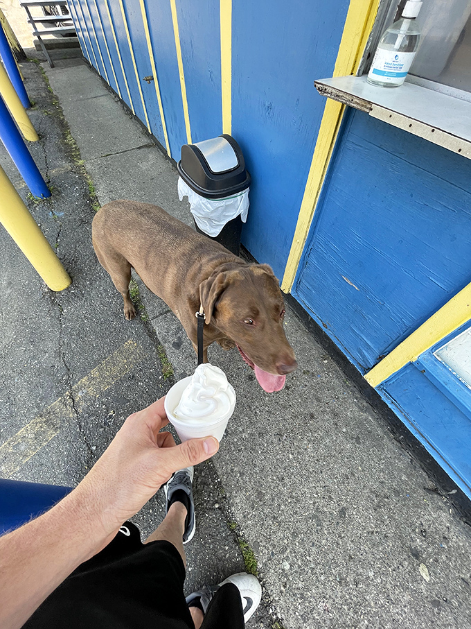 Even four-legged friends get their moment of frozen bliss, proving Burk's hospitality extends to all species.