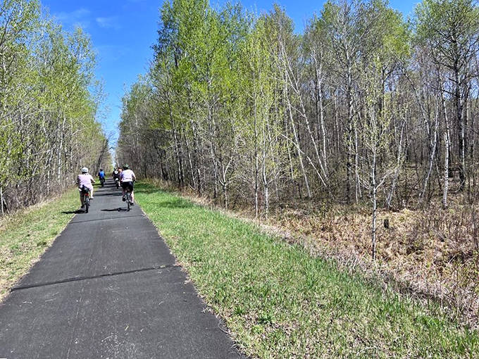 Once carrying lumber and ore, these repurposed rail lines now transport families, fitness enthusiasts, and anyone seeking a slice of Minnesota serenity.