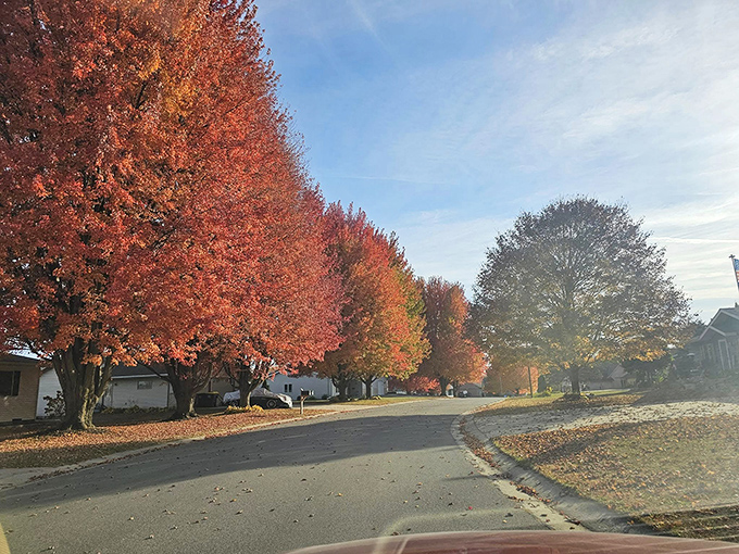 Neighborhood streets lined with trees wearing their autumn best &ndash; like a fashion show where every contestant wins.