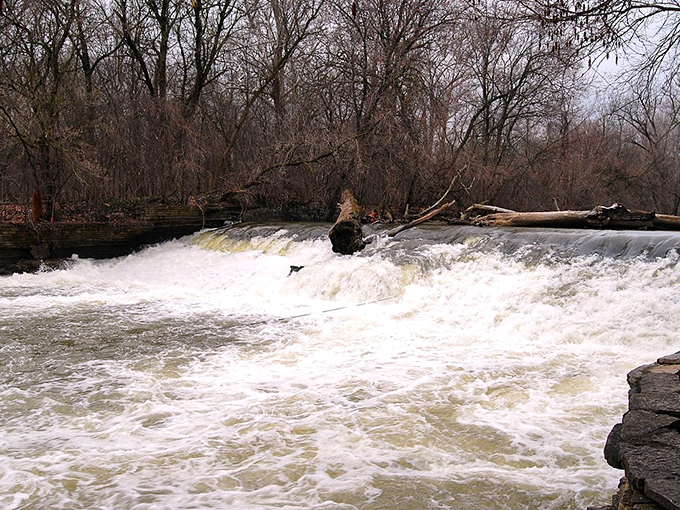 The Rouge River doesn't just flow through Northville – it helped shape it, providing both beauty and historical purpose.