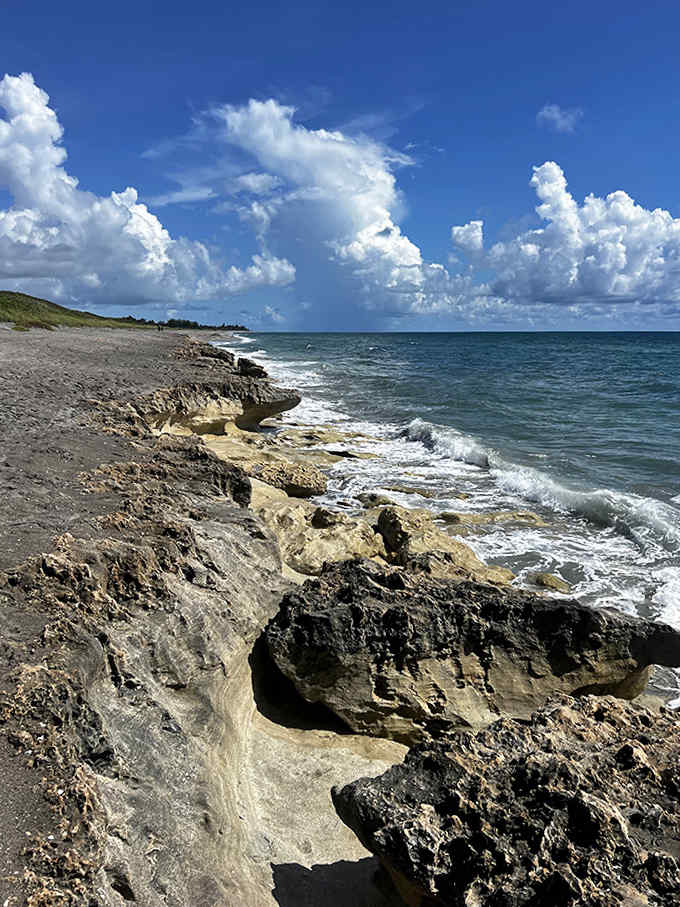 Low tide reveals a completely different wonderland of tidal pools and marine life hiding among the rocky outcroppings.