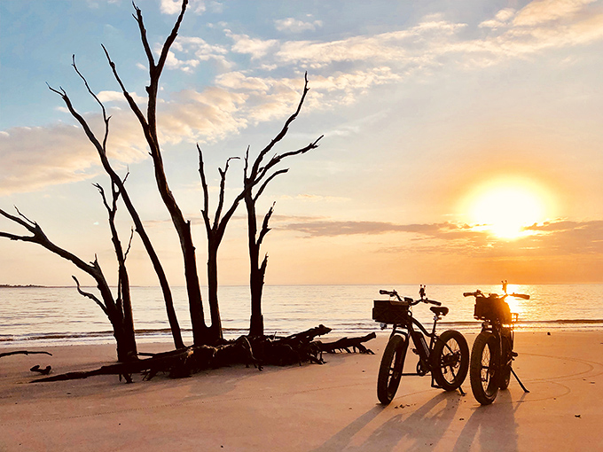 Sunset transforms the beach into a postcard-perfect scene, with bicycles standing sentinel beside driftwood sculptures from nature's workshop.
