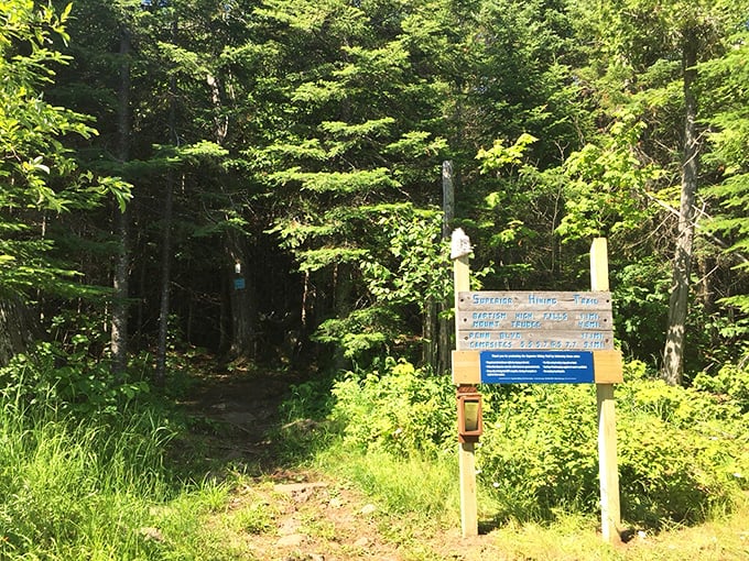 The Superior Hiking Trail beckons adventurers into the northern forest, where every step promises deeper connection with Minnesota's wild heart.