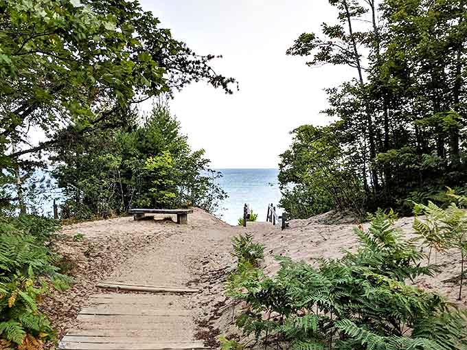 Summer's perfect perch awaits at this wooden overlook, where the forest pauses to admire Lake Superior's endless blue.