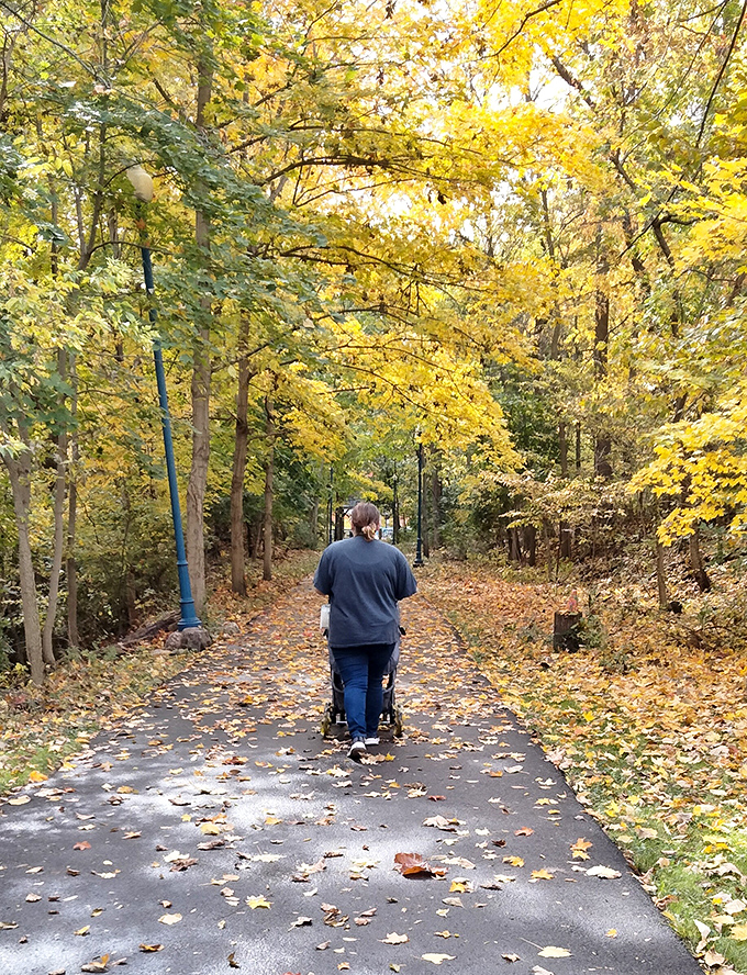 Fall transforms Trestle Park into a golden wonderland where visitors can crunch through nature's carpet while breathing in the crisp Michigan air.