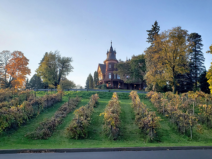 A vineyard at a haunted castle, because apparently one impressive feature wasn't enough.