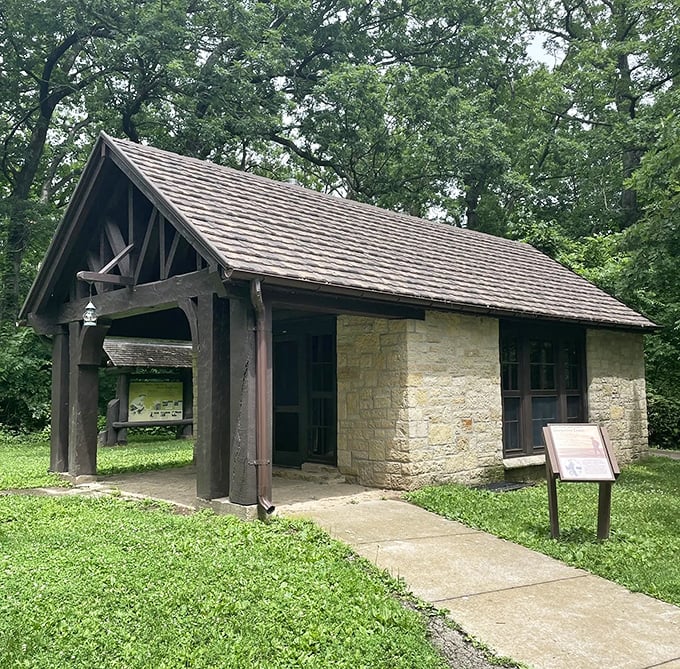 Inside nature's cathedral: The cave's sweeping curves and layered walls create an atmosphere of natural reverence and wonder.