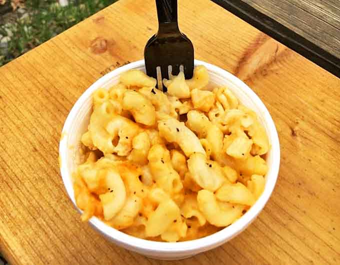 Creamy mac and cheese with perfectly cooked pasta swimming in a cheese sauce that clings to every curve and crevice.
