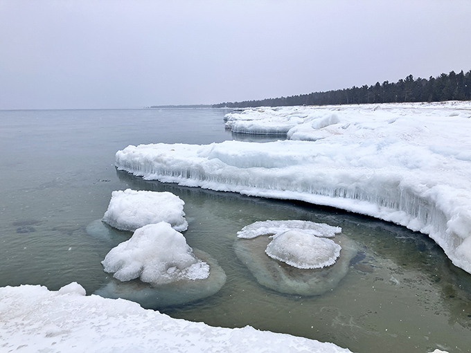 Winter transforms Agate Beach into a surreal landscape of ice sculptures, where frozen waves create temporary art installations along the shore.