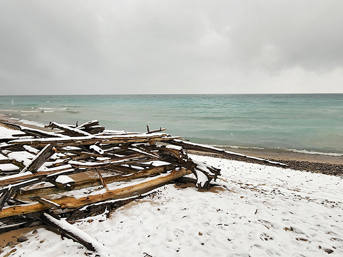Winter transforms the beach into a stark, beautiful landscape where driftwood becomes art and solitude becomes a feature rather than a bug.