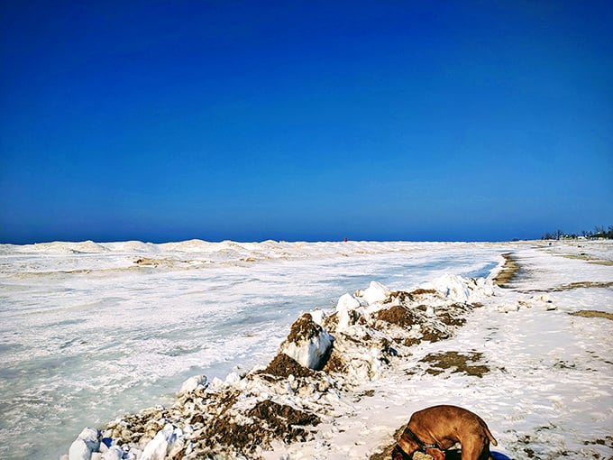 Winter transforms Grand Haven into a frozen wonderland, where ice sculptures created by nature replace summer sandcastles.
