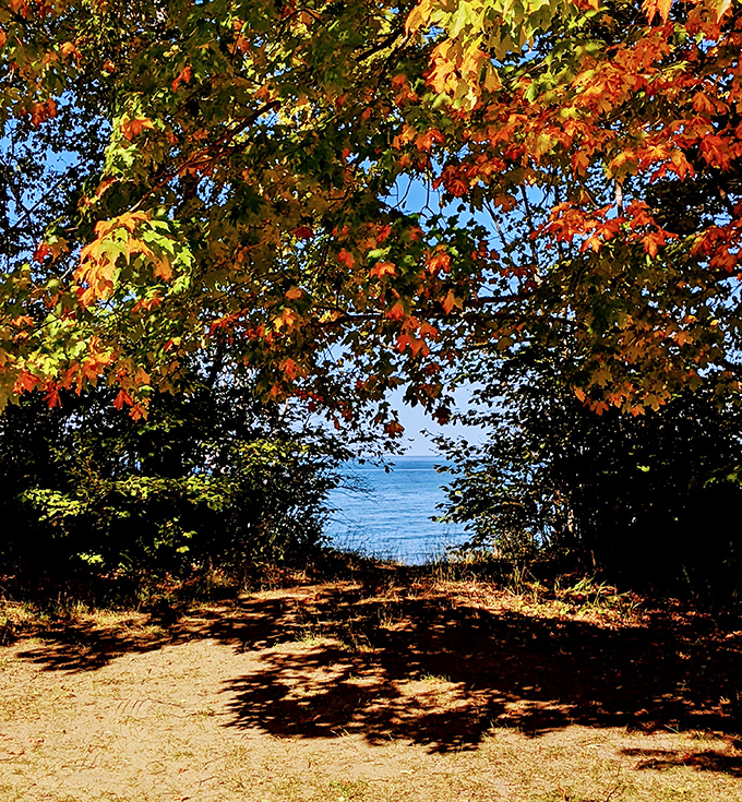 Autumn's double feature: Fall foliage creates a fiery frame for Lake Superior's blue expanse, offering seasonal magic beyond the beach's stones.